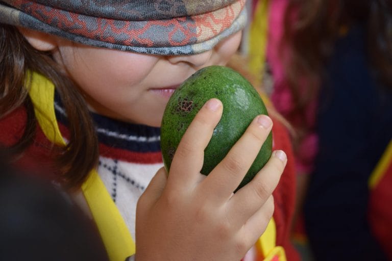 “Frutástica” ensina o ciclo da fruta a 15 crianças e várias maneiras de ...